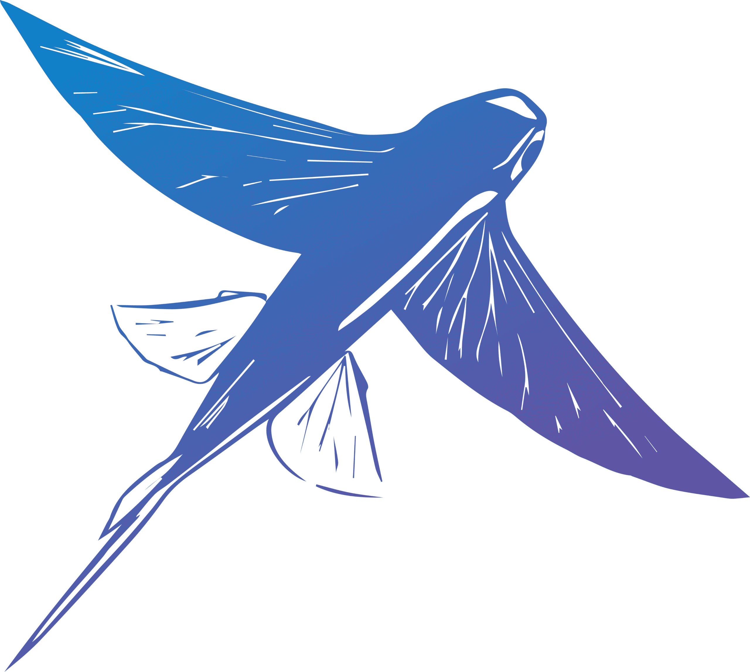 Open Positions in Traveling Exhibitions | Careers | Flying Fish